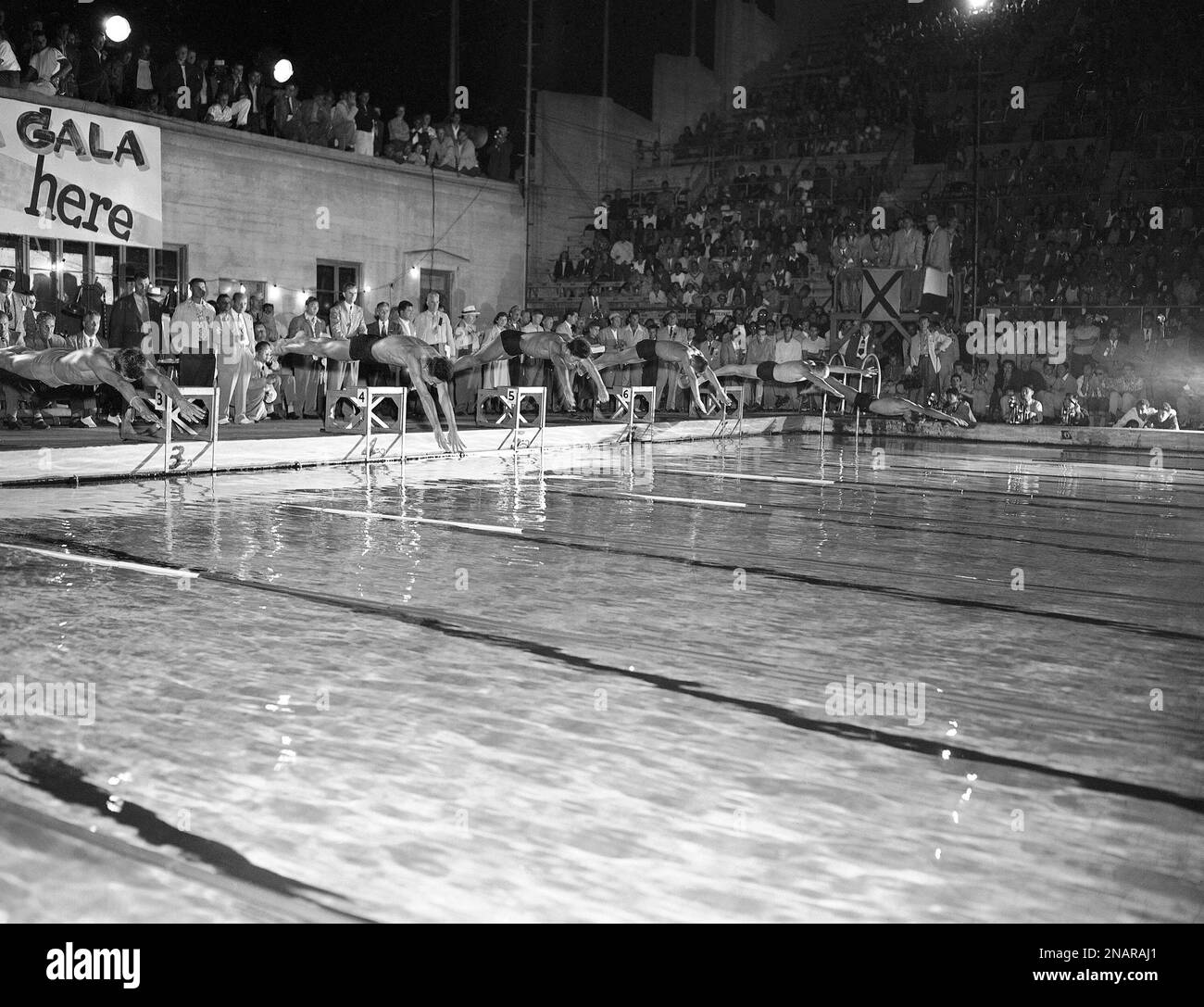 The start of the 1500 meter free style finals at the National A.A.U ...