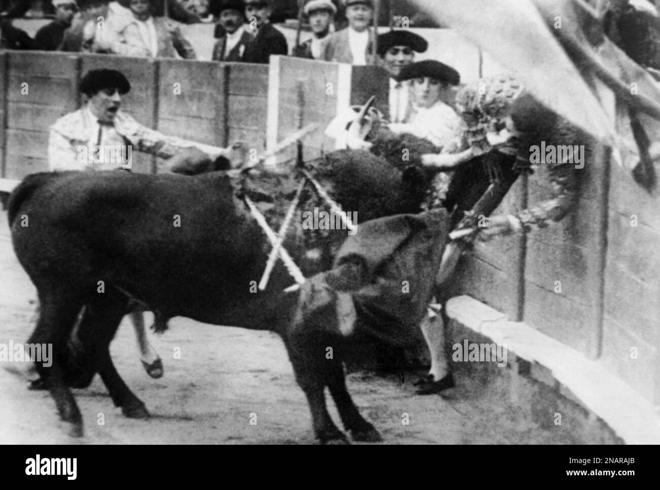 The infuriated bull attacks a bull fighter as other toreadors attempt ...