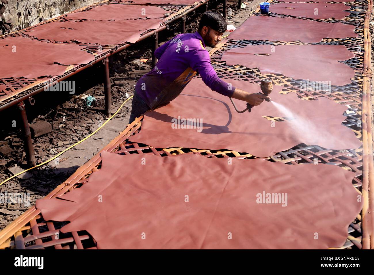 Dhaka, Dhaka, Bangladesh. 13th Feb, 2023. Workers dye leather and dry it in the sun at a small ...