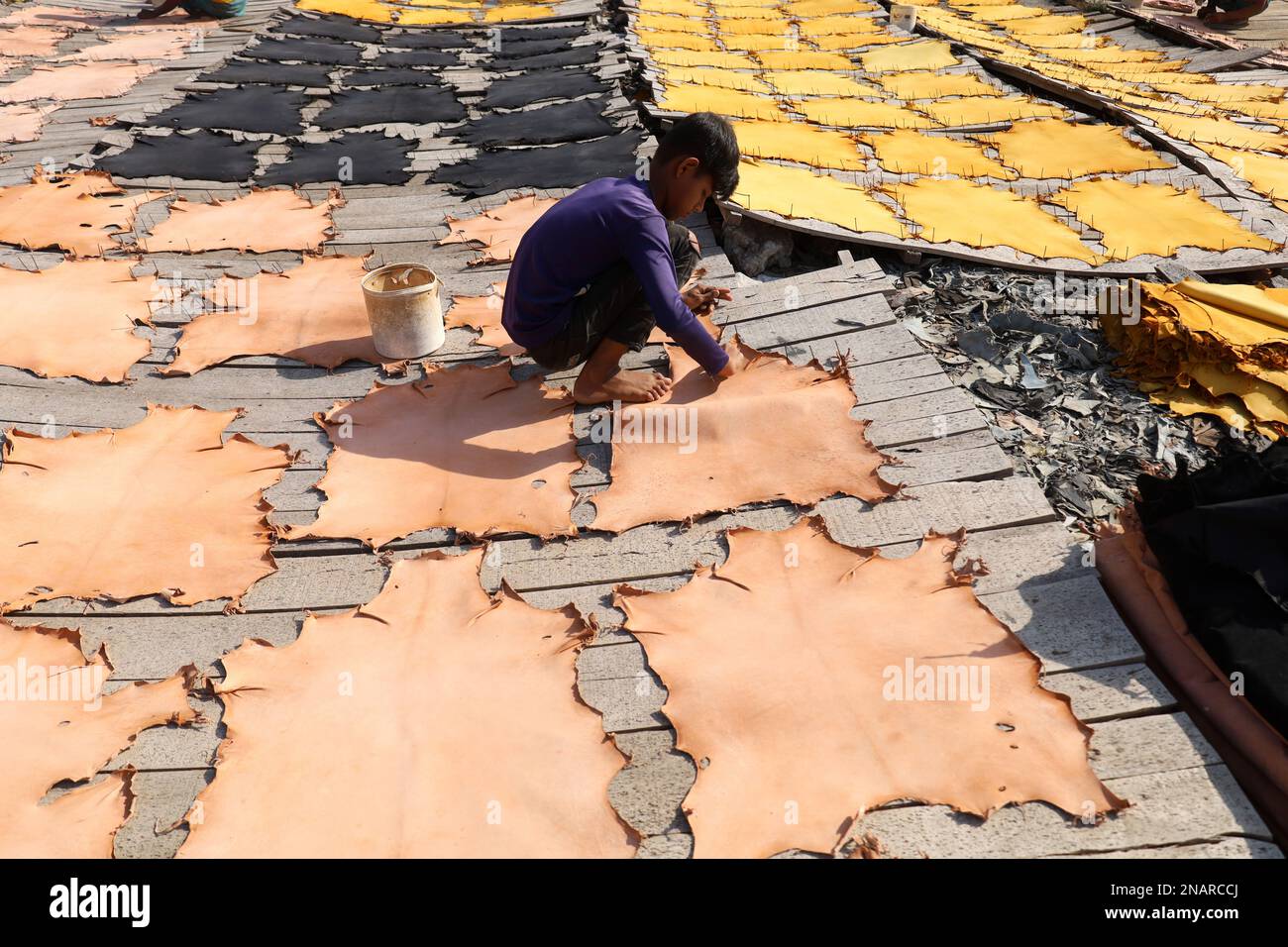 Dhaka, Dhaka, Bangladesh. 13th Feb, 2023. Workers dye leather and dry ...