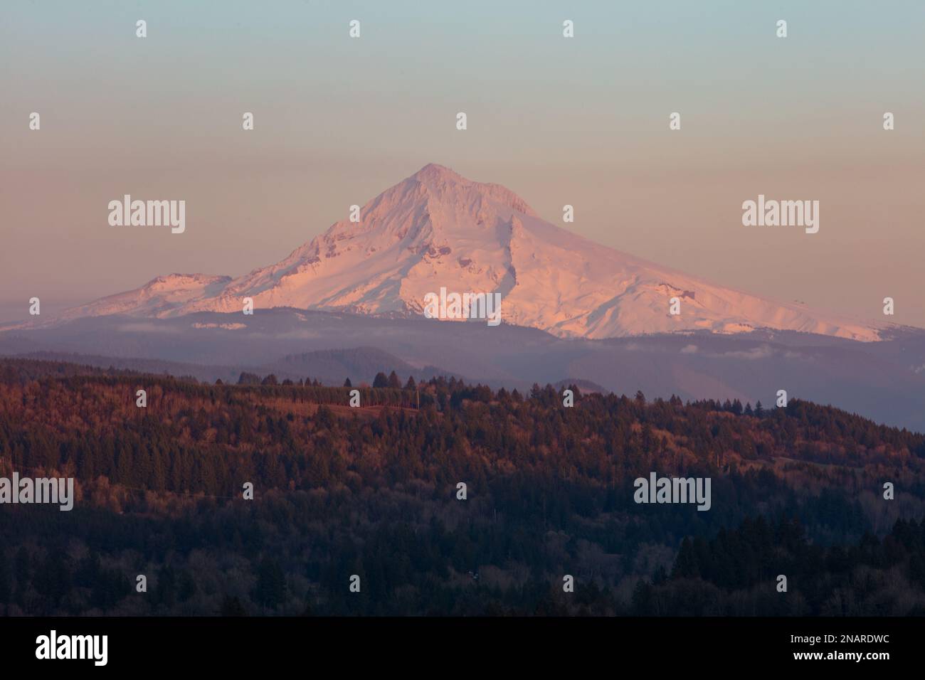 Evening light illuminates Mount Hood about 50 miles east of Portland ...