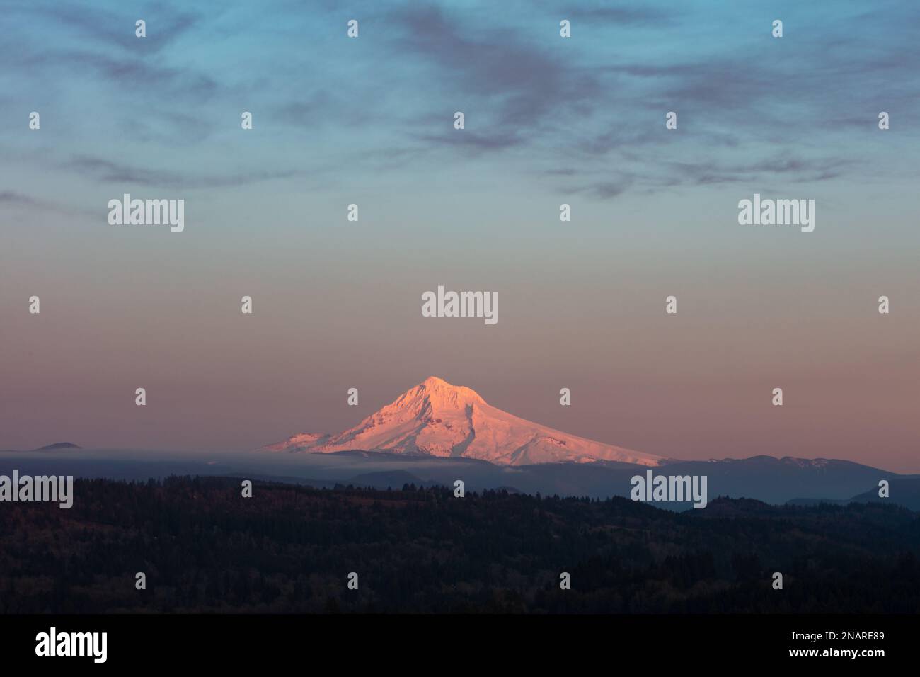 Evening light illuminates Mount Hood about 50 miles east of Portland ...