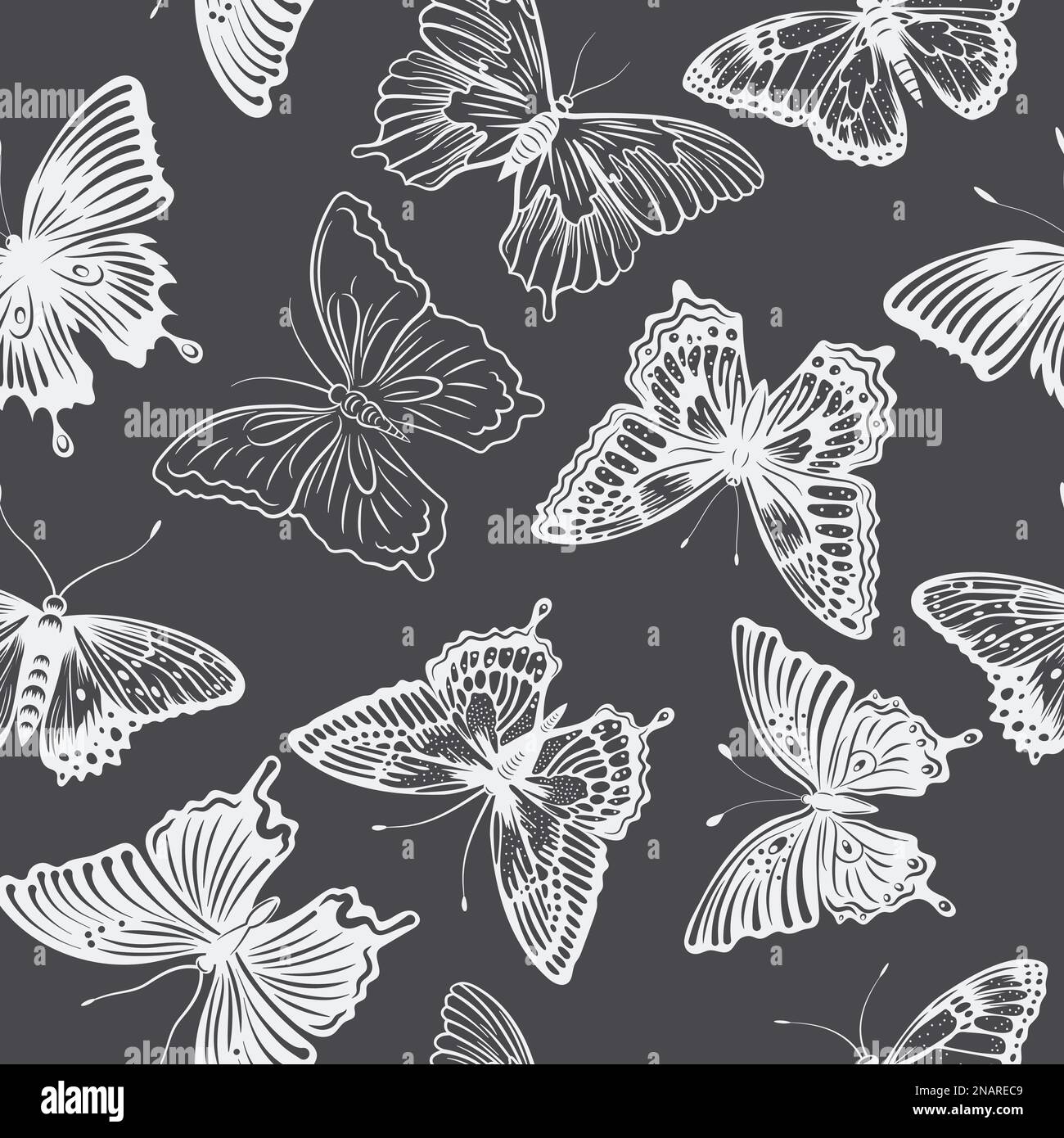 Vector Seamless Pattern with Hand Drawn Butterflies on White Background ...