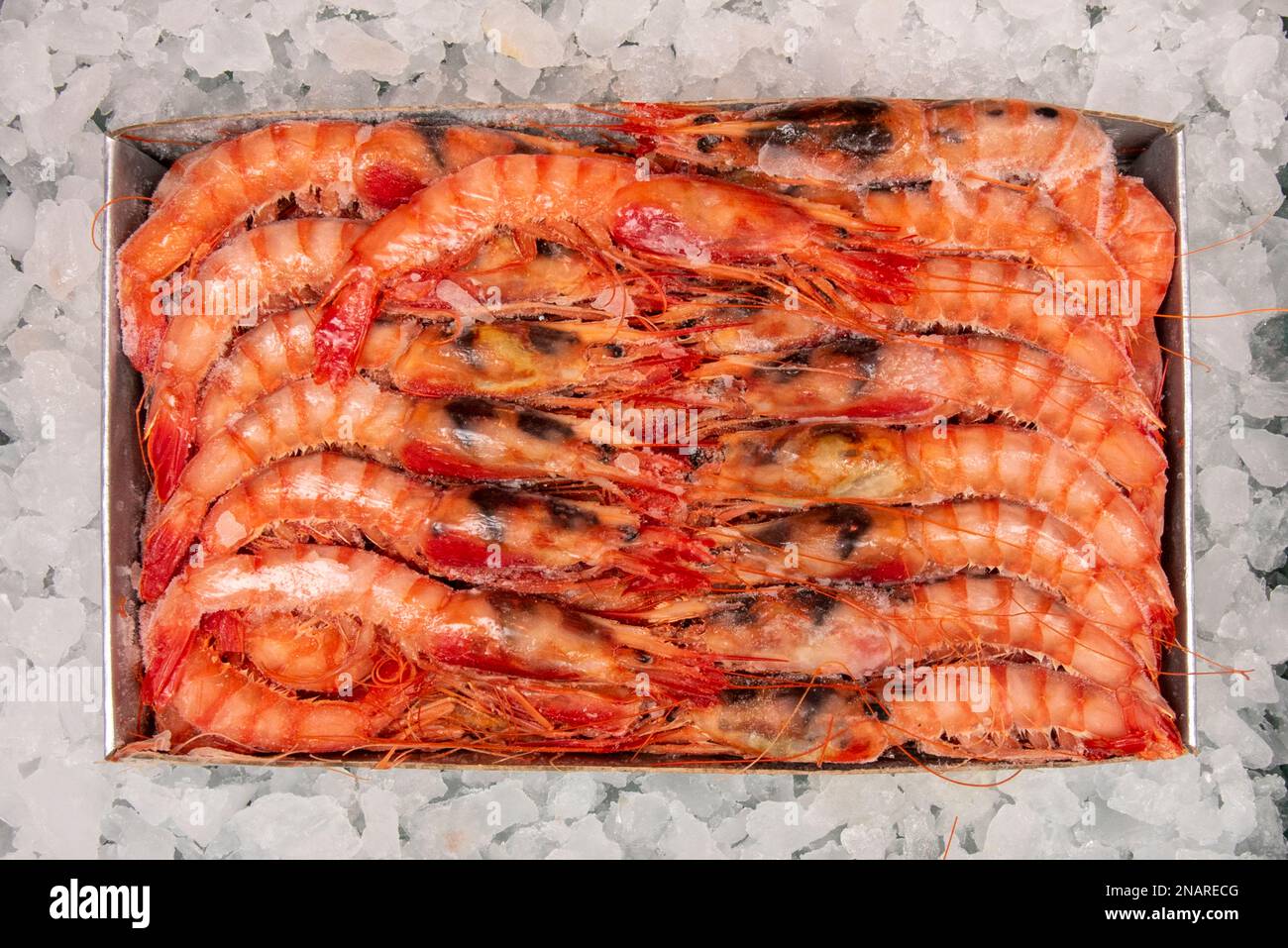 Frozen seafood box hi-res stock photography and images - Alamy