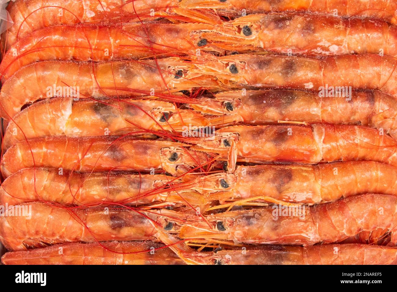 Frozen orange hi-res stock photography and images - Alamy