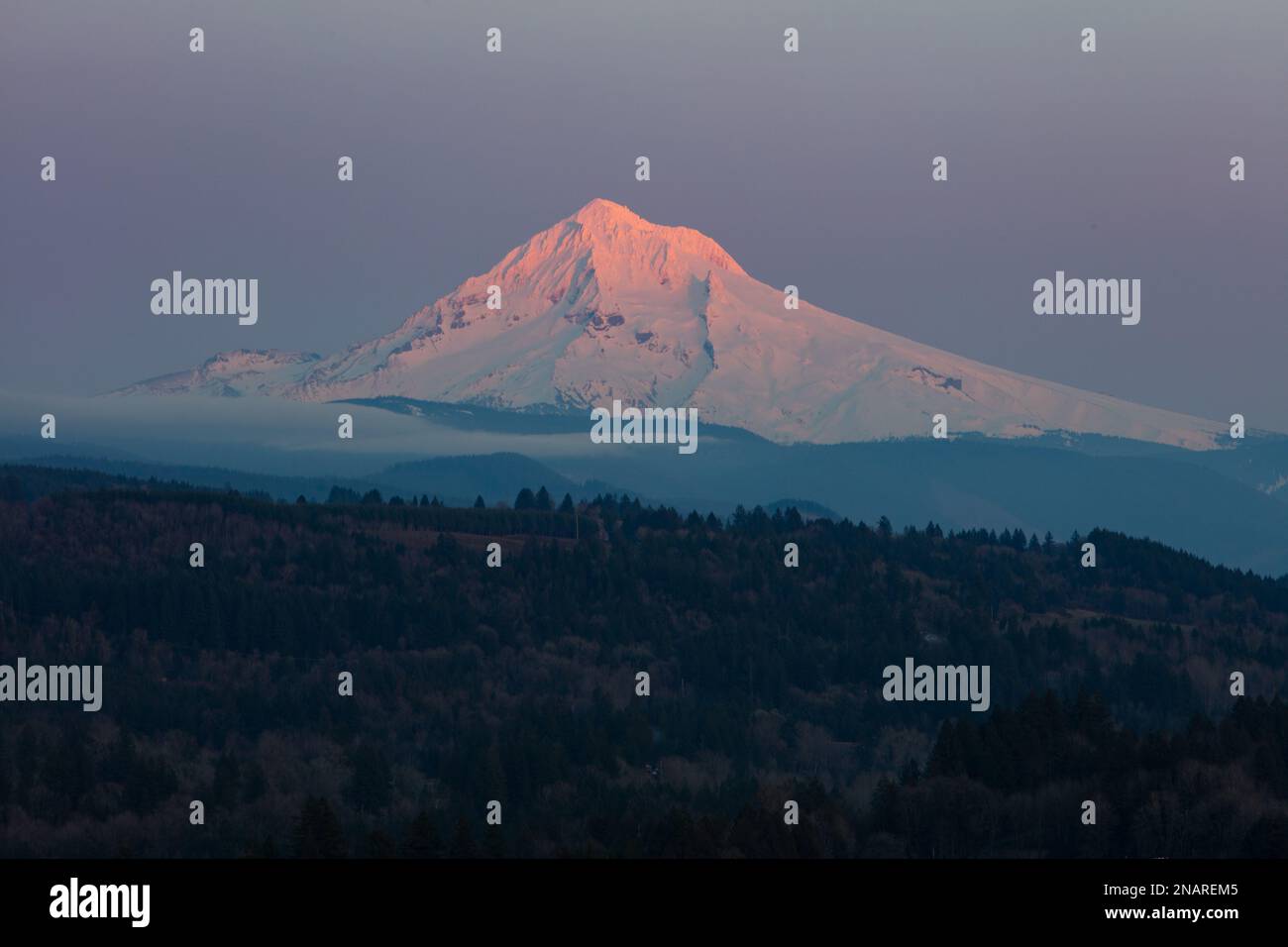 Evening light illuminates Mount Hood about 50 miles east of Portland ...
