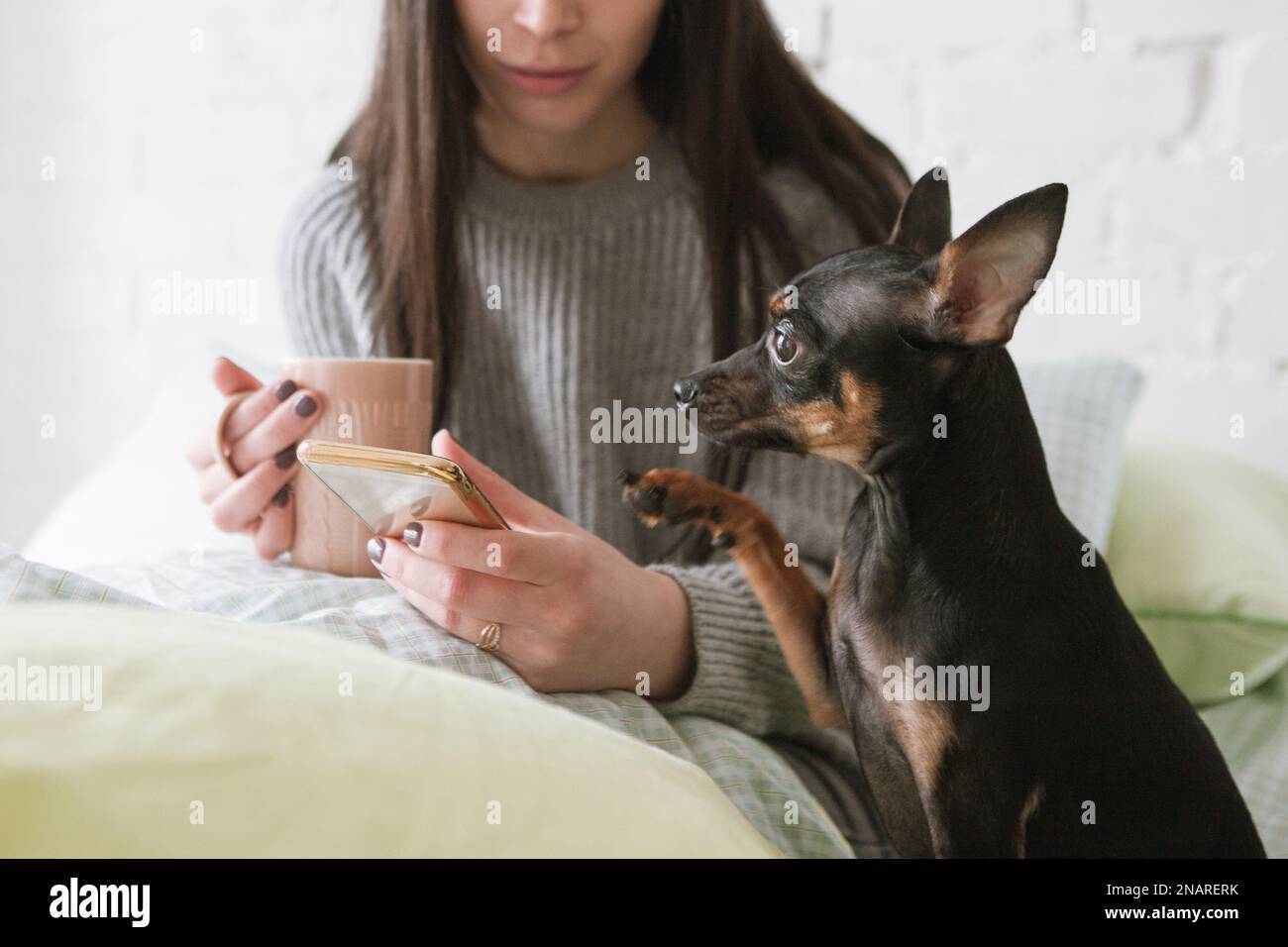 Friendship among human and dog Stock Photo - Alamy
