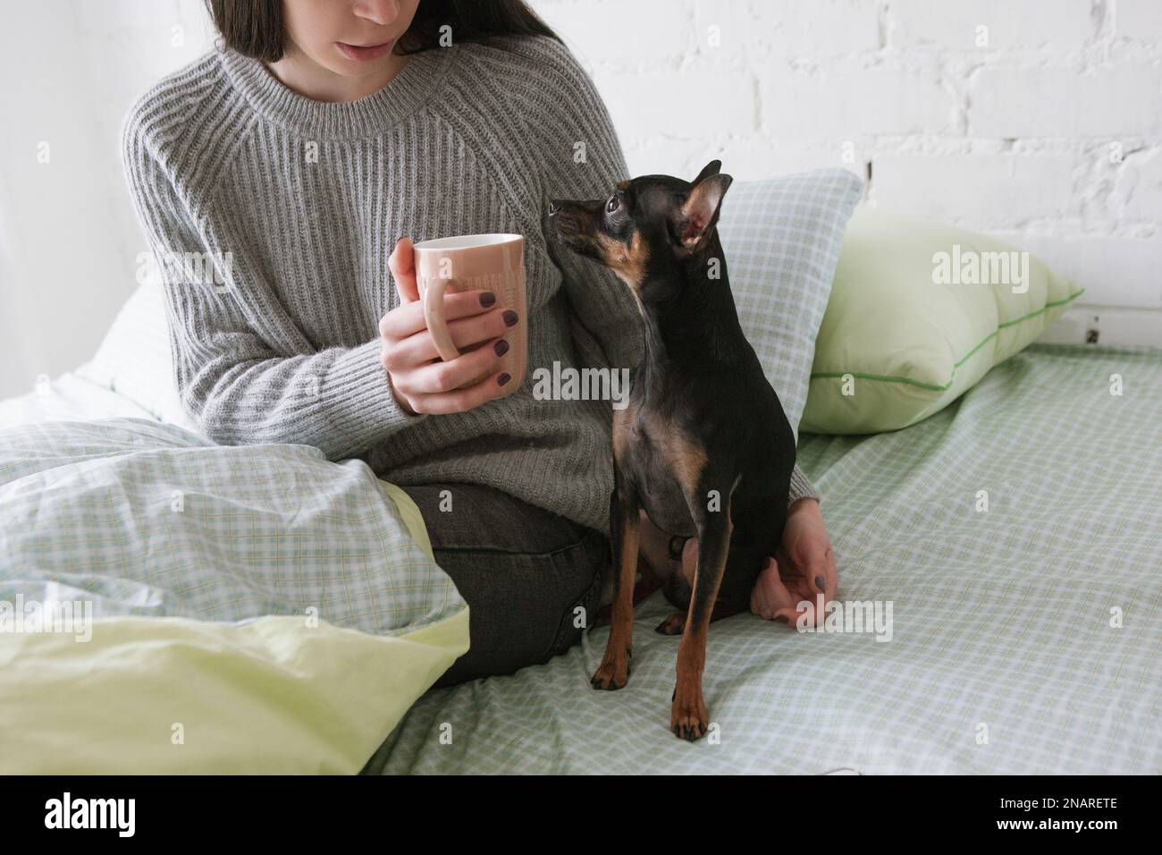 Love between girl pet hi-res stock photography and images - Alamy