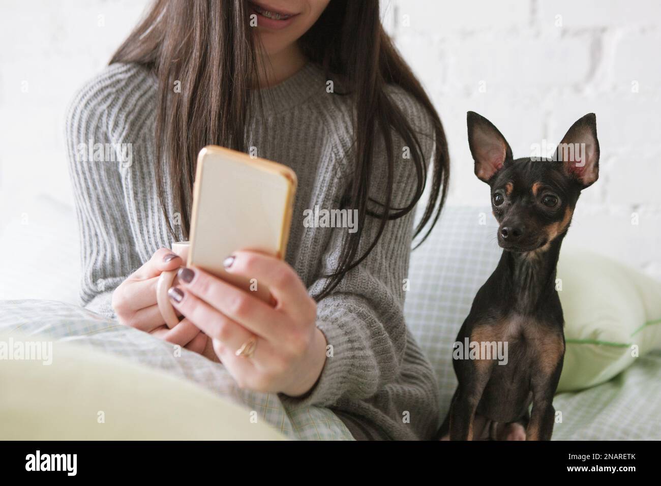 Bond between owner and dog hi-res stock photography and images - Alamy