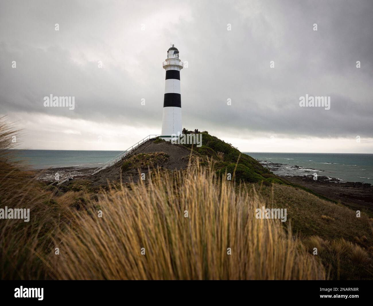 Cape campbell lighthouse new zealand hi-res stock photography and ...
