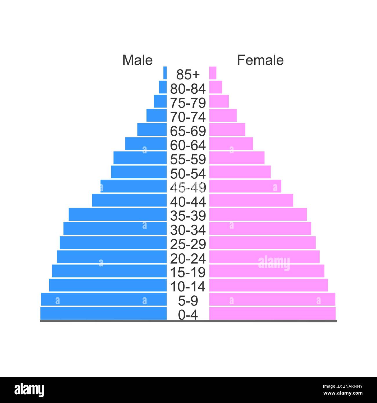 Population pyramid or age structure diagram template isolated on white ...