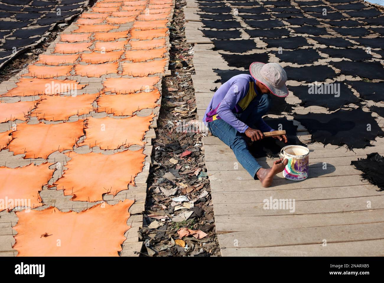 Dhaka, Dhaka, Bangladesh. 13th Feb, 2023. Workers dye leather and dry ...