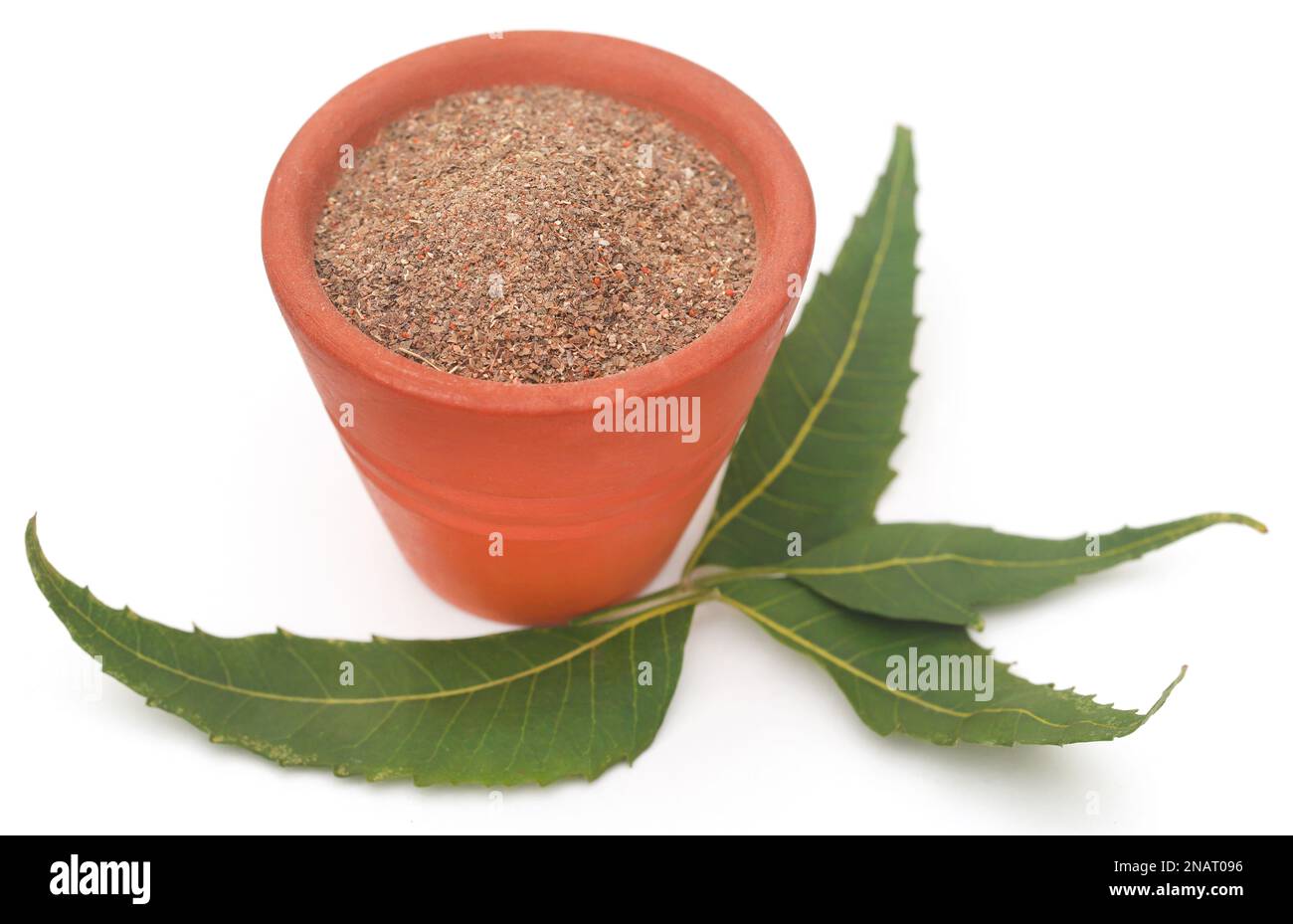 Medicinal neem leaves with powder over white background Stock Photo - Alamy