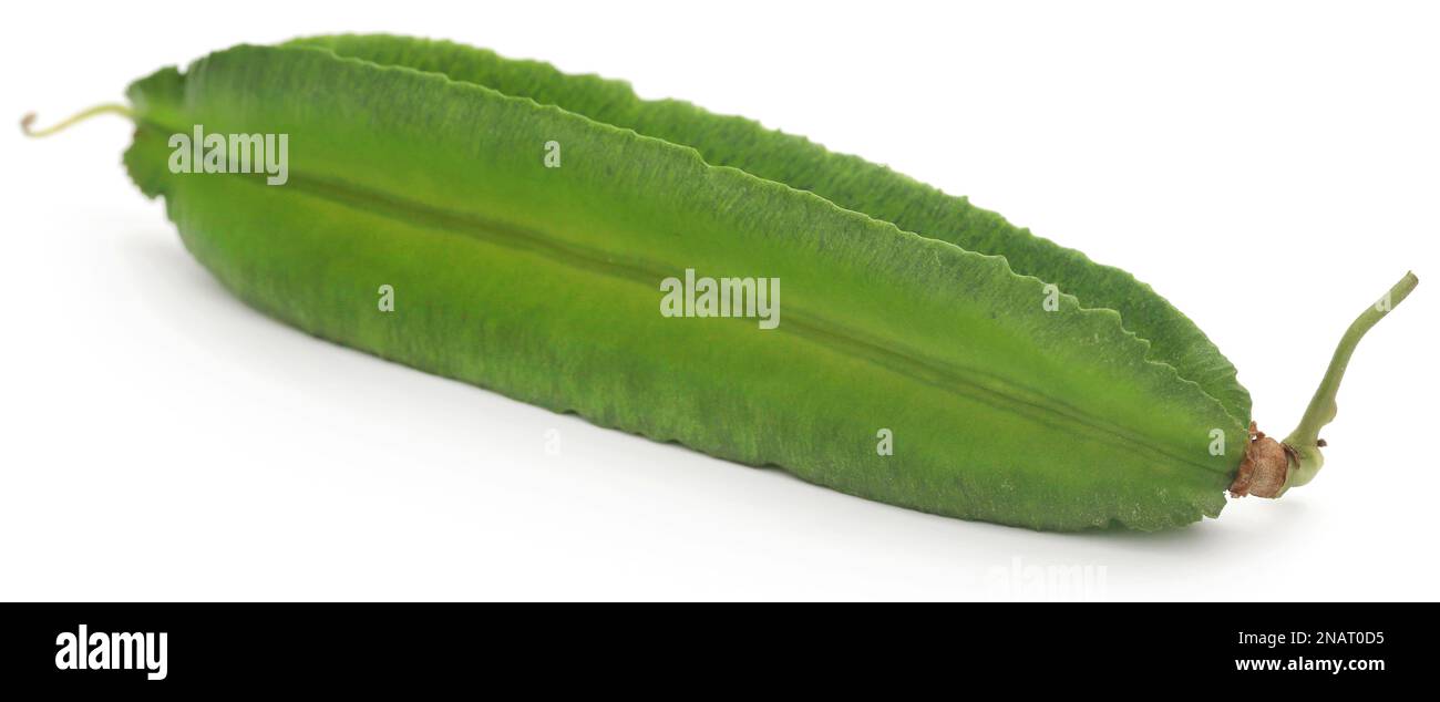 Winged bean fresh and organic over white background Stock Photo - Alamy
