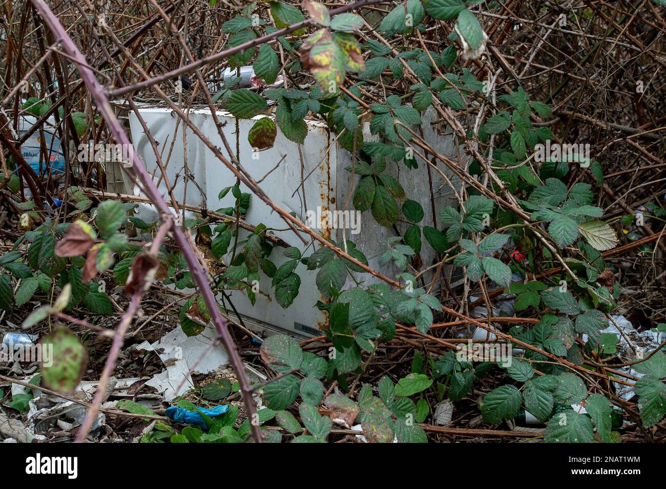 Three litter boxes hi-res stock photography and images - Alamy