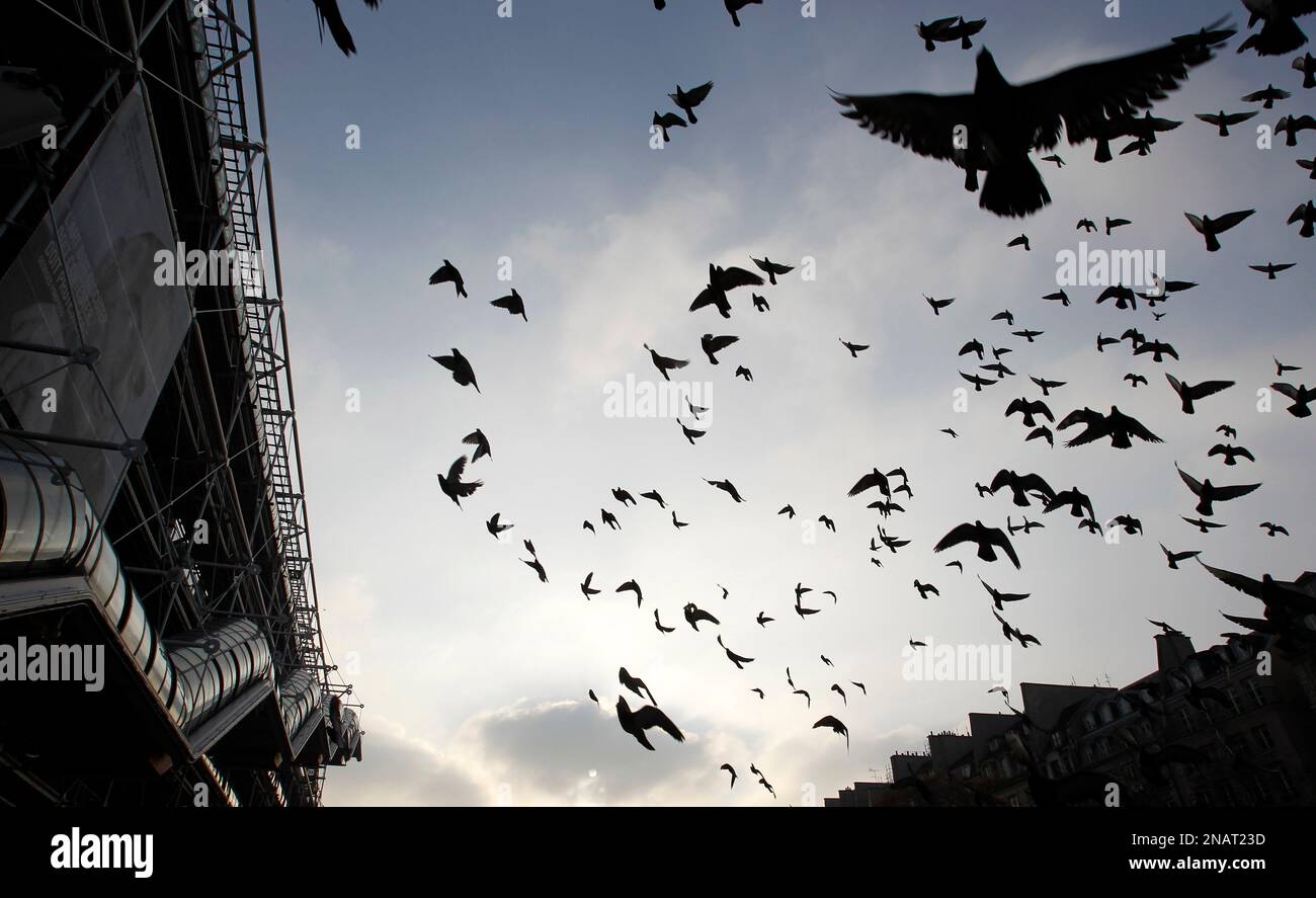 Pigeons fly next to the Georges Pompidou art center, left, in Paris ...