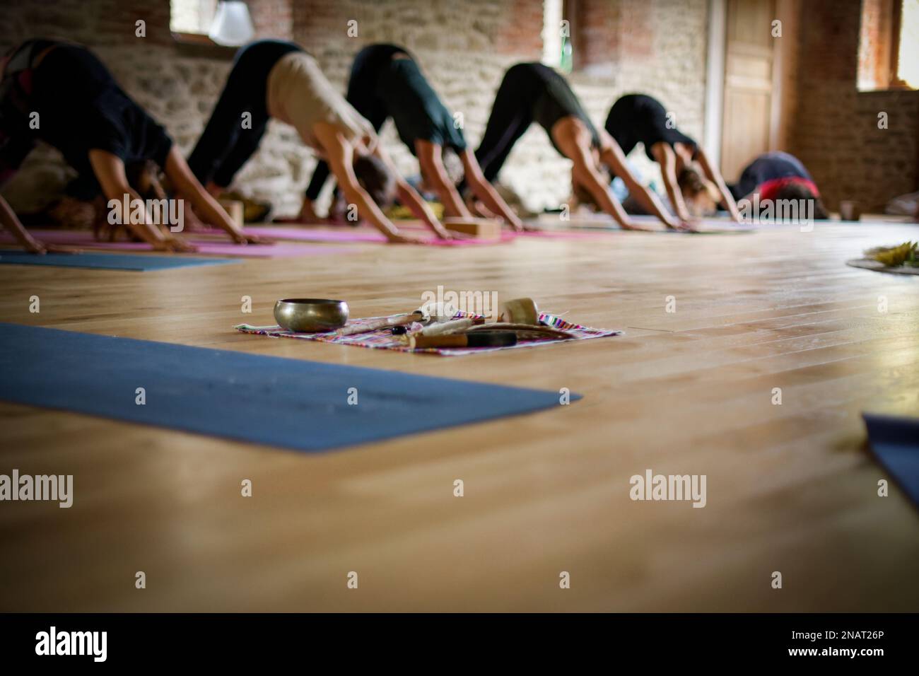 Group yoga session in hi-res stock photography and images - Alamy