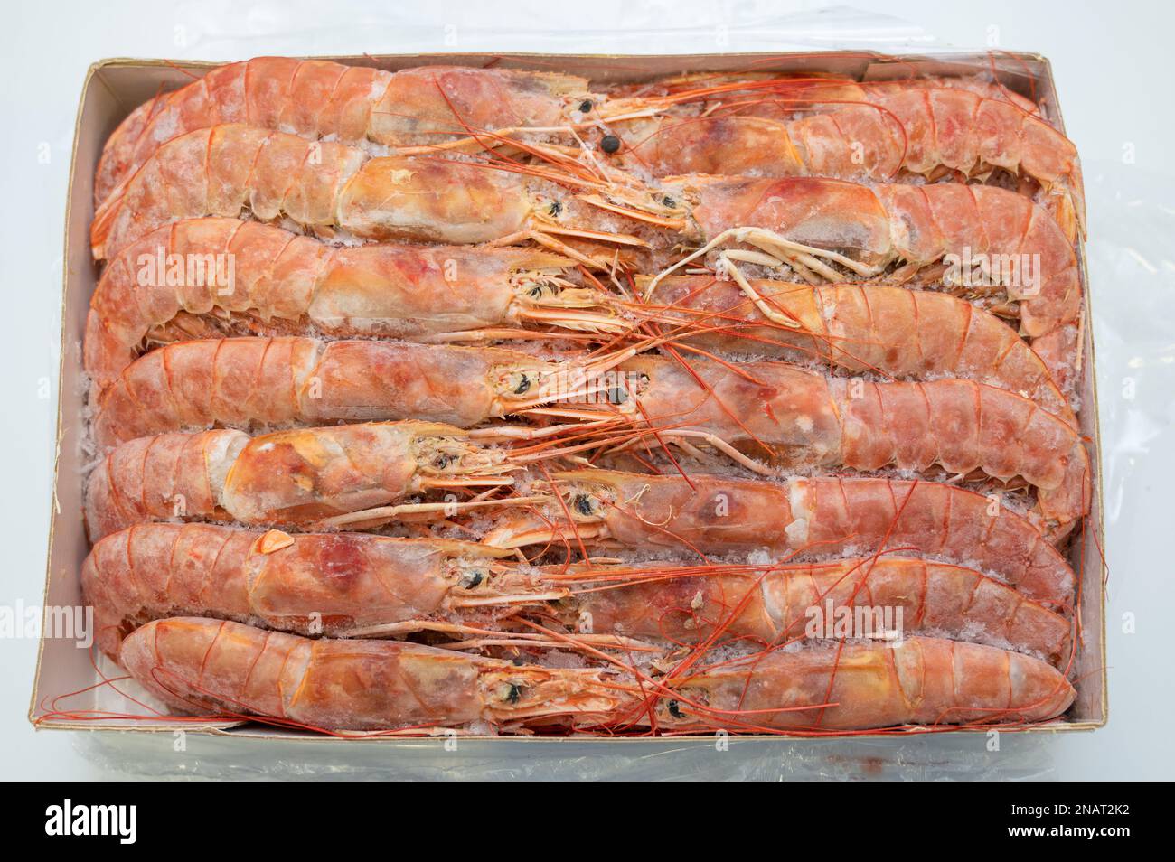 Frozen big king size shrimp in fridge at the fish market. Healthy ...