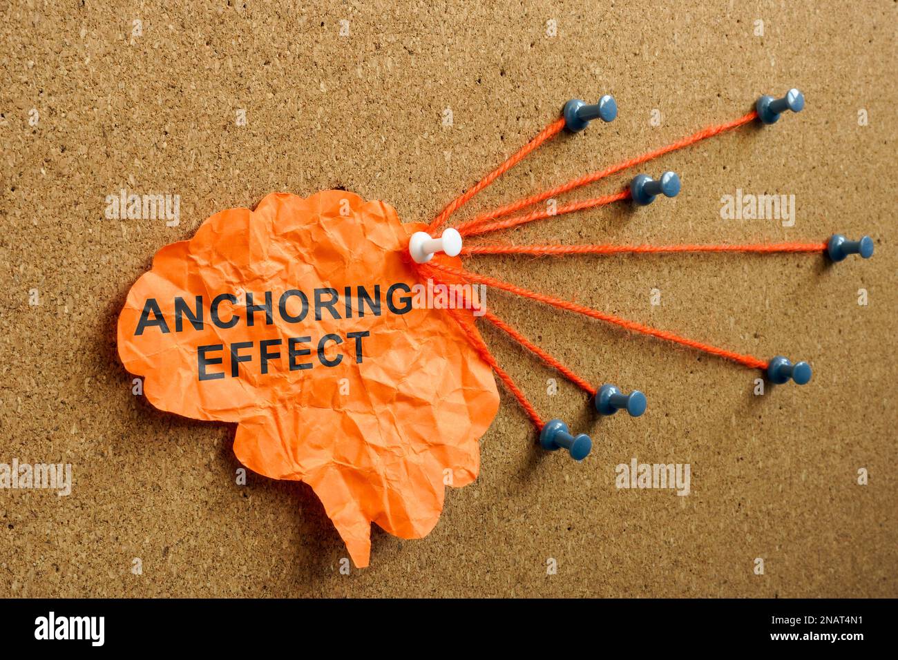 Paper brain with sign anchoring effect and pins Stock Photo - Alamy