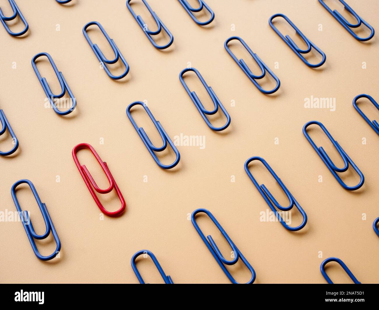 Blue paperclips and one red. Difference and uniqueness concept Stock ...