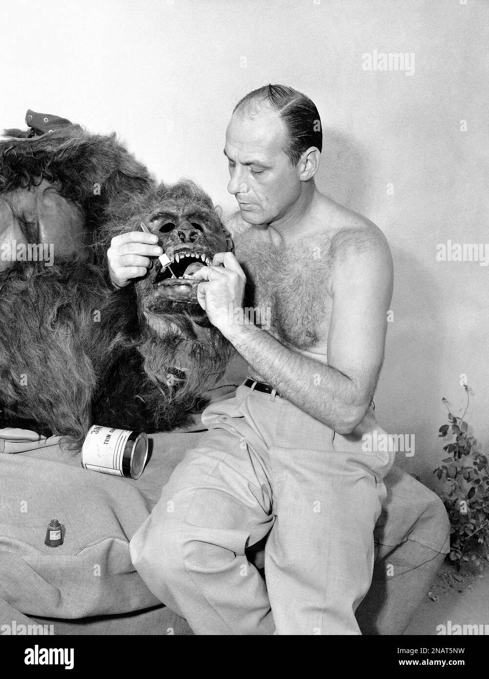 Steve Calvert applies nail polish to the teeth of the gorilla skin he ...