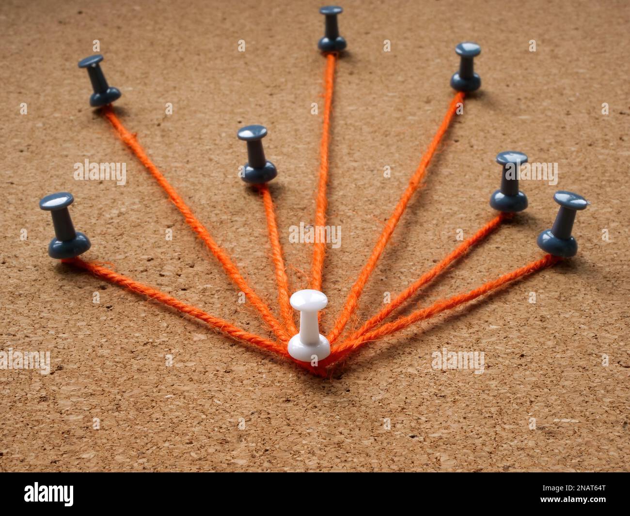 Leadership or delegation concept. The pins are connected by a thread to ...