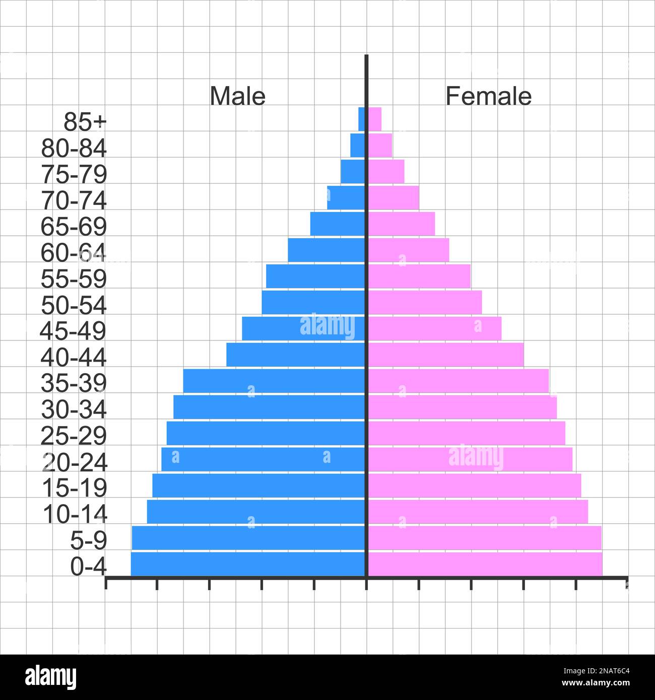 Age structure diagram template. Population pyramid isolated on white ...