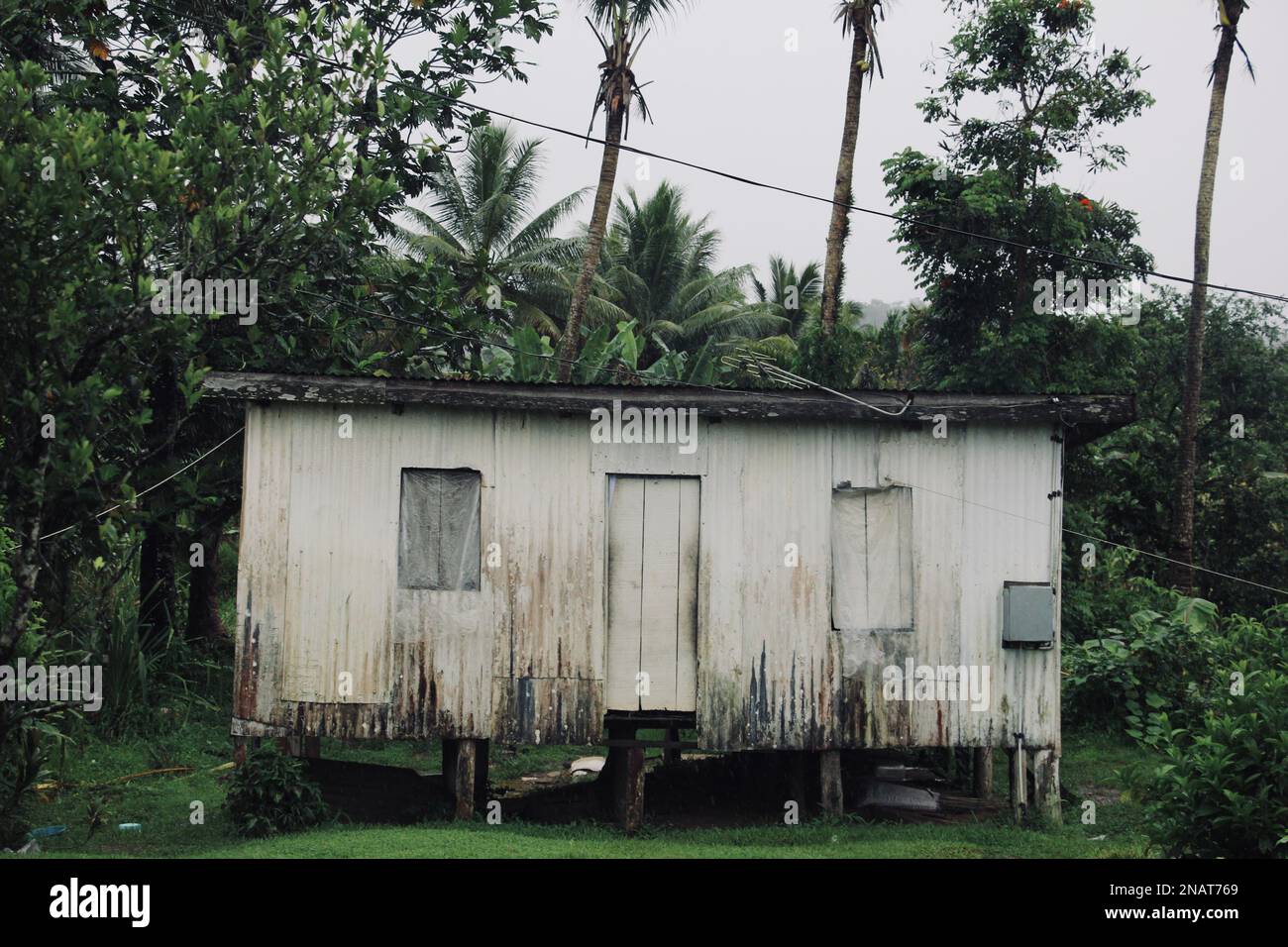 Fiji jungle hi-res stock photography and images - Alamy