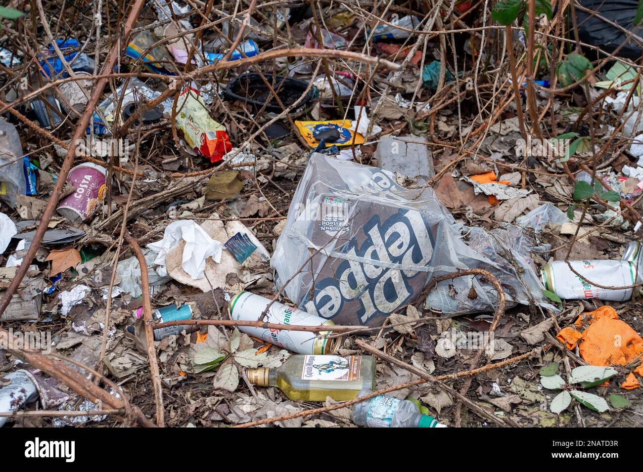 Pavements brambles hi-res stock photography and images - Alamy