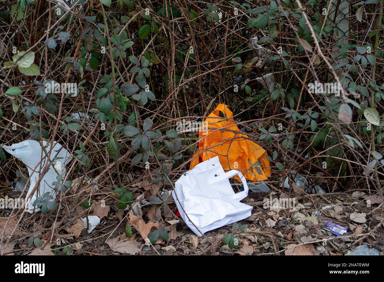 Maple Cross, Hertfordshire, UK. 12th February, 2023. Roadside litter ...