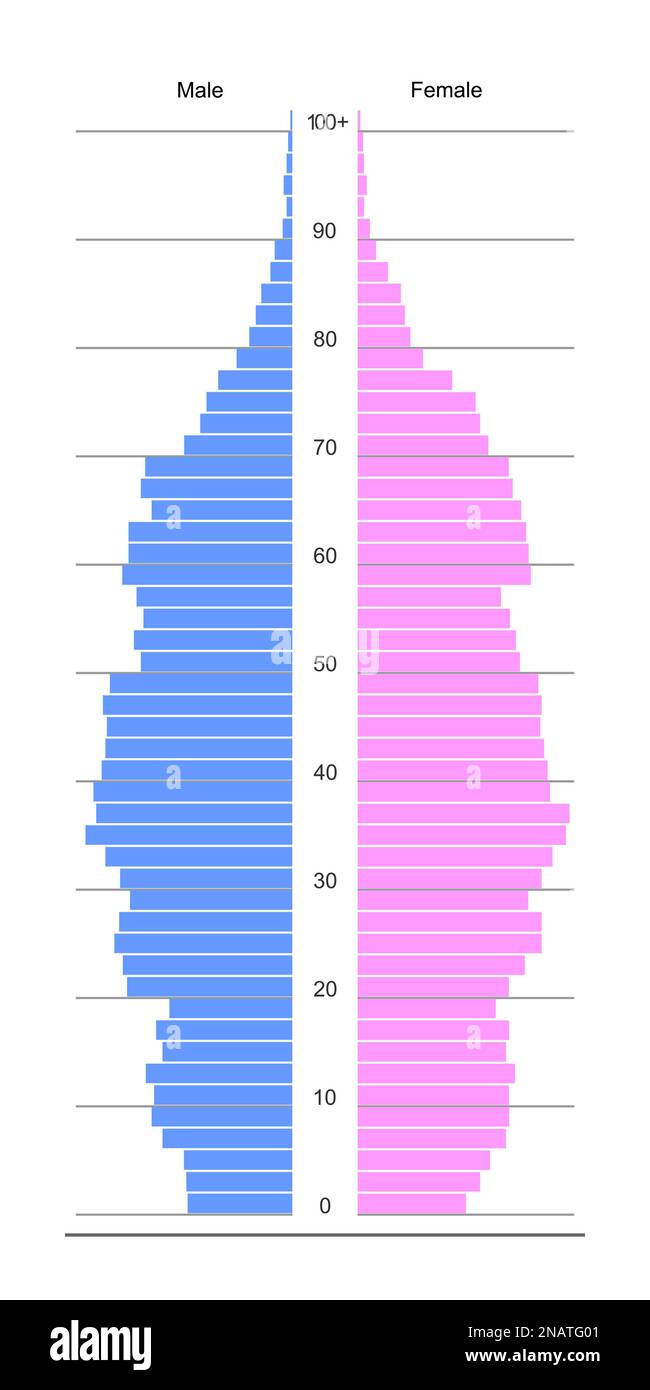 Population pyramid template. Age structure diagram isolated on white ...