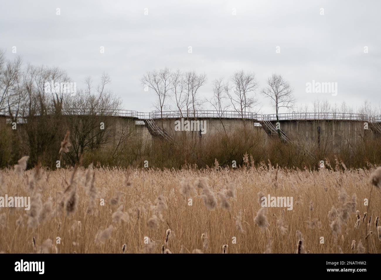 Maple valley map hi-res stock photography and images - Alamy