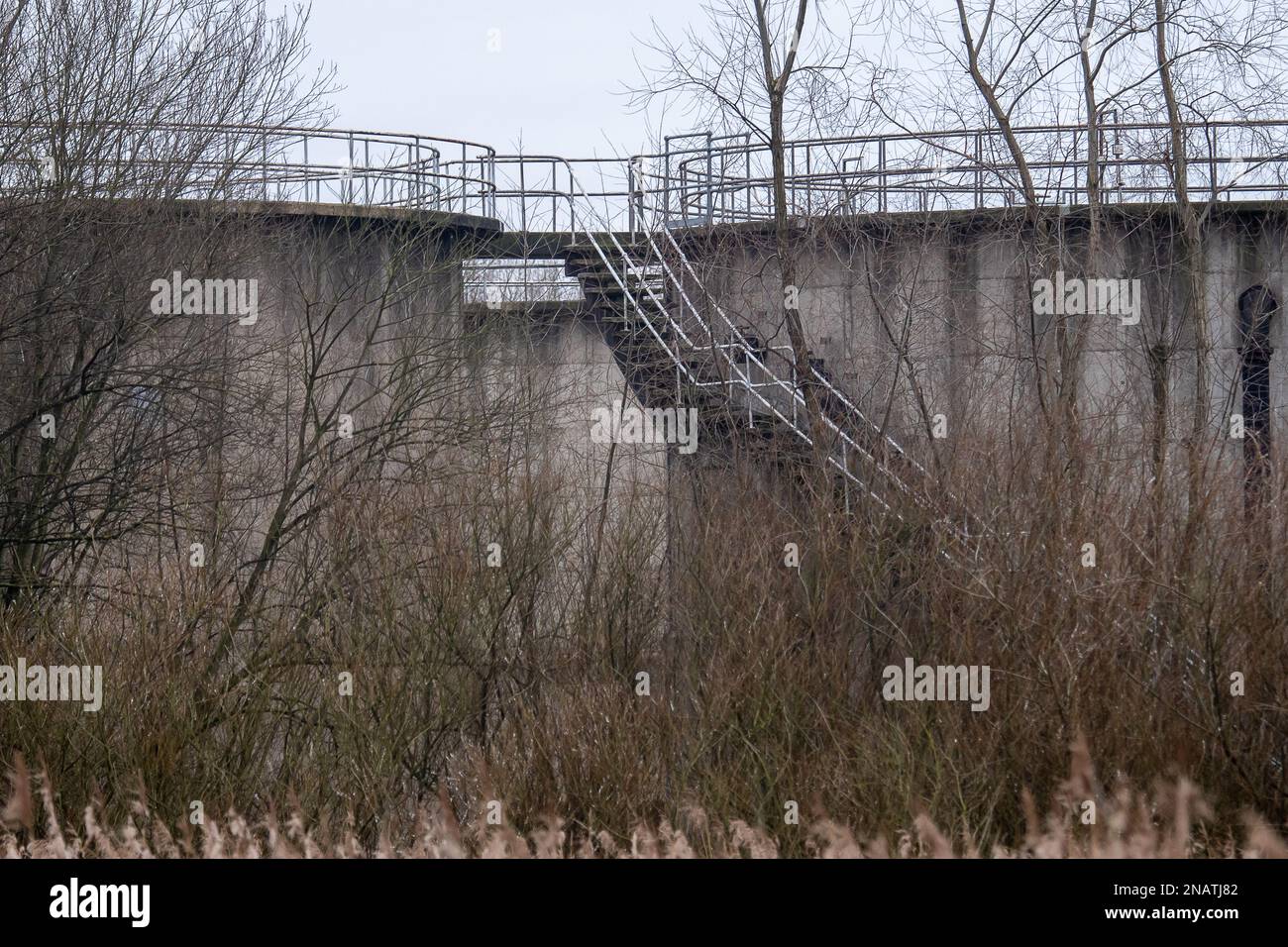 Maple Cross, Hertfordshire, UK. 12th February, 2023. It has been ...