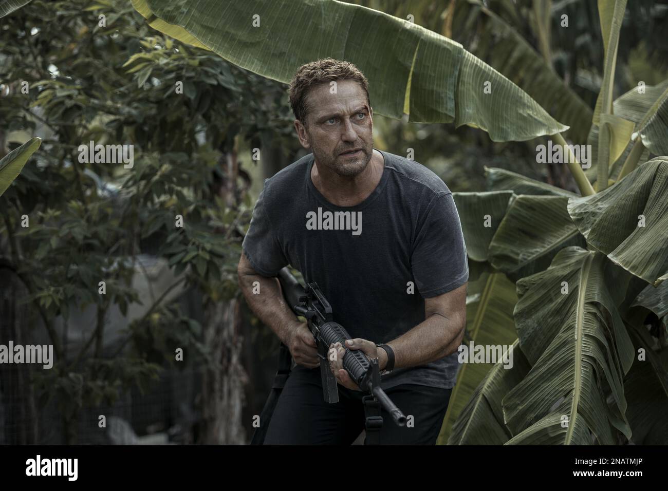 Plane 2023 hi-res stock photography and images - Alamy