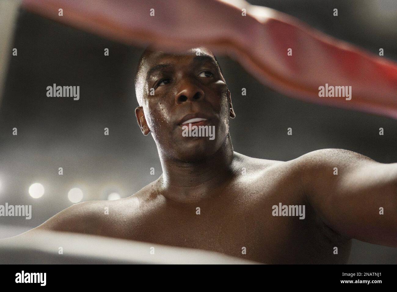 George foreman boxing hi-res stock photography and images - Alamy