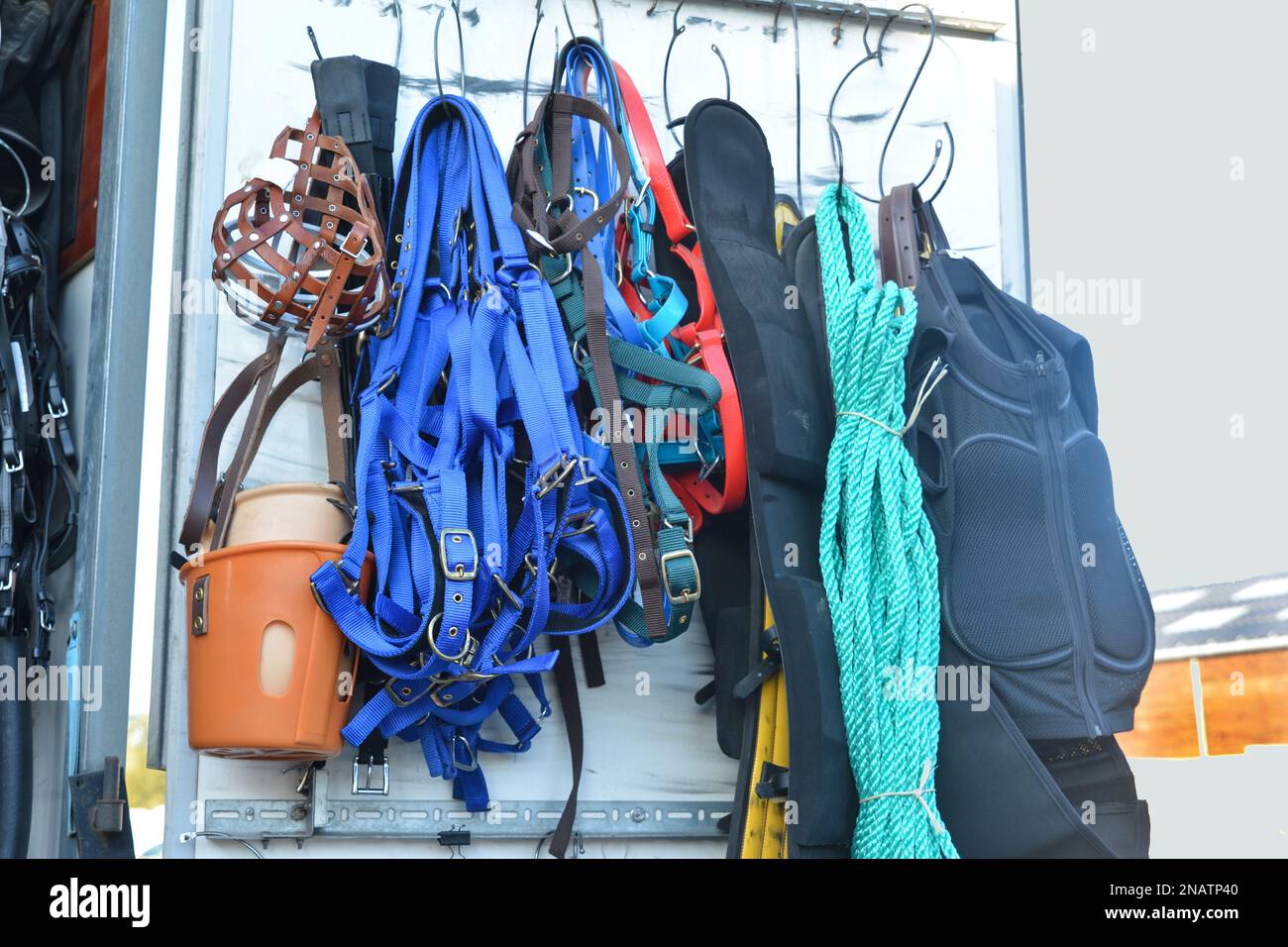 Cartoon horse tack hi-res stock photography and images - Alamy
