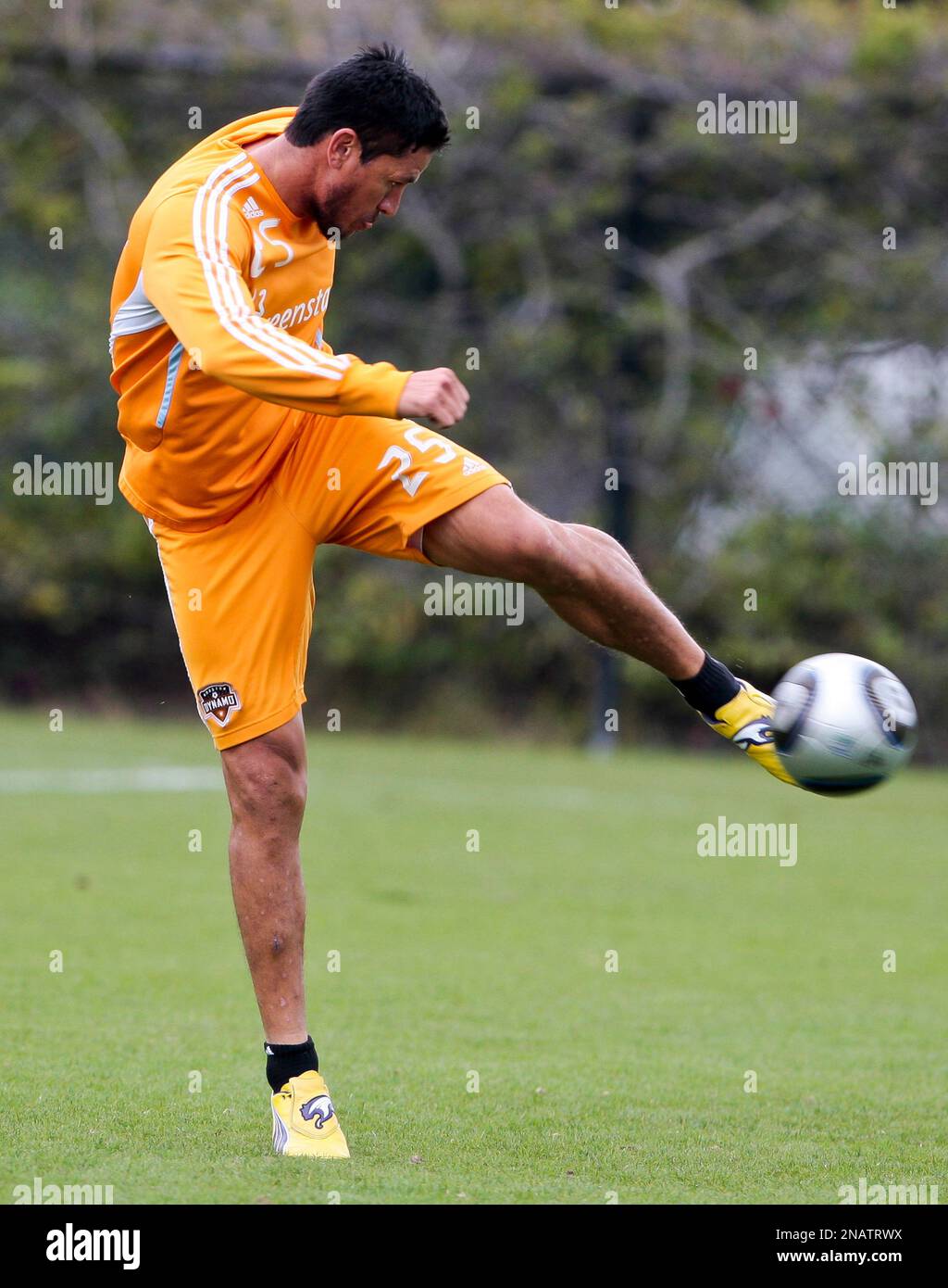 Houston Dynamo forward Brian Ching takes a shot during MLS soccer ...