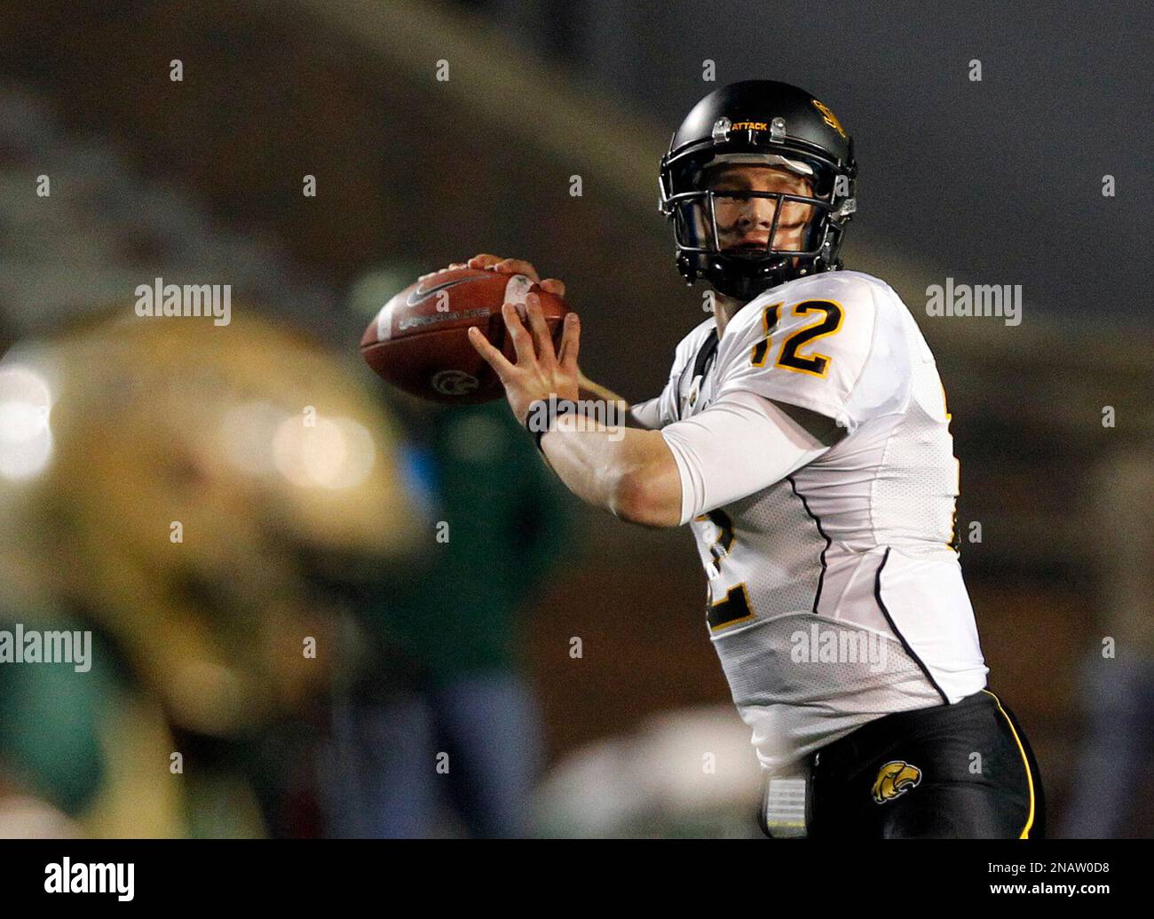 Southern Mississippi quarterback Austin Davis throws to a receiver ...
