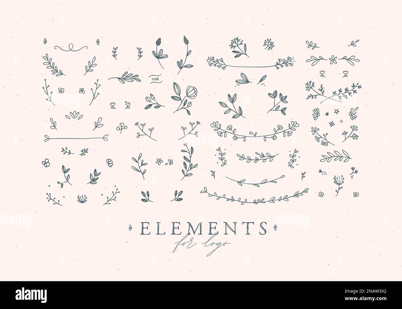 Elements flowers and branches to create label or sign in hand drawing ...