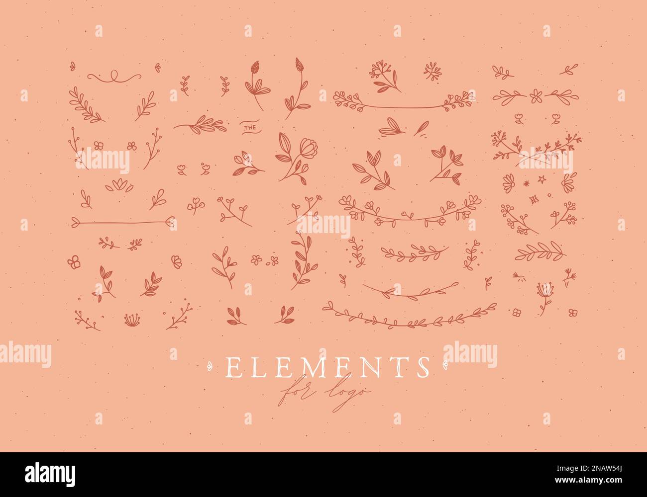 Elements flowers and branches to create label or sign in hand drawing ...