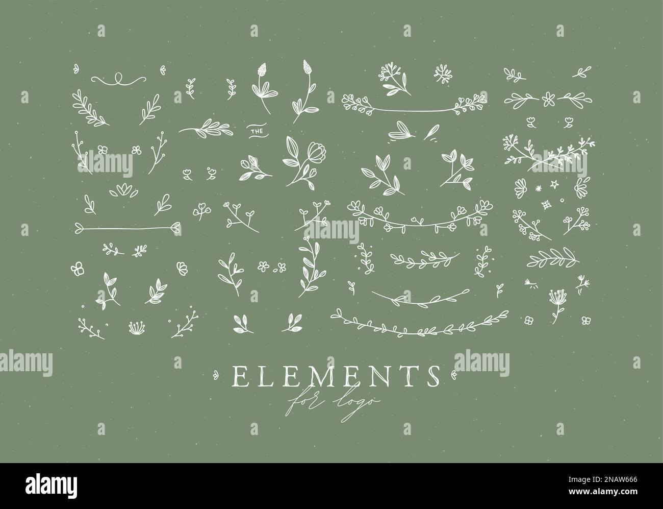 Elements flowers and branches to create label or sign in hand drawing ...