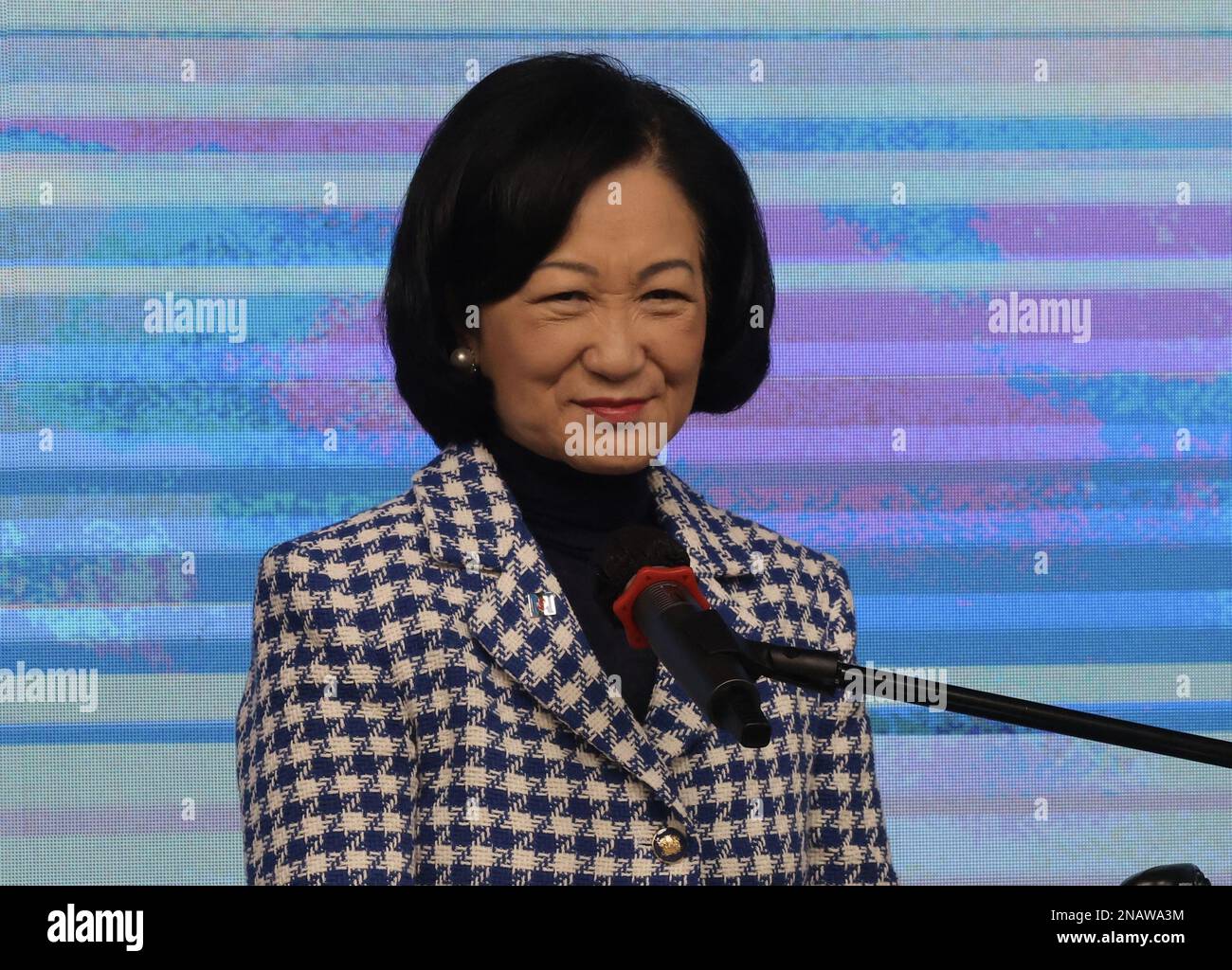 Seminar on Hong Kong Legislative Council Then and Now with legislator ...