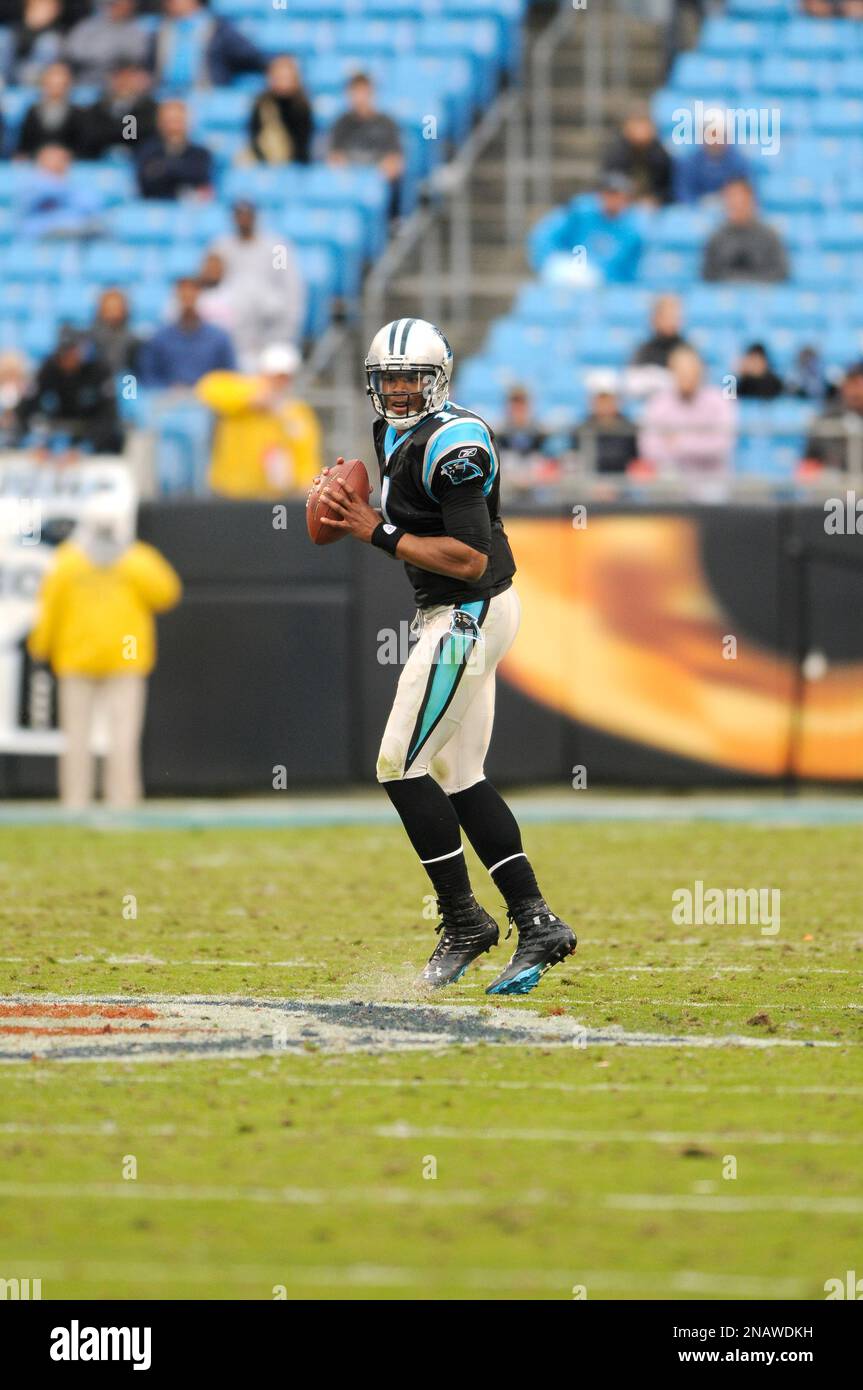 Carolina Panthers quarterback Cam Newton (1) throws a pass during an ...