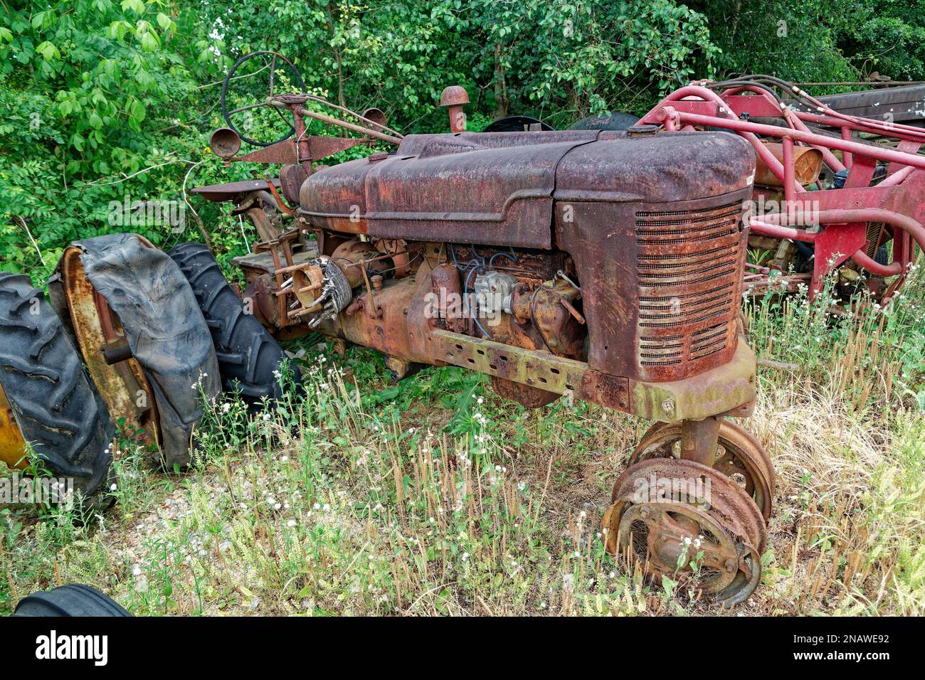 Ditch weeds hi-res stock photography and images - Alamy