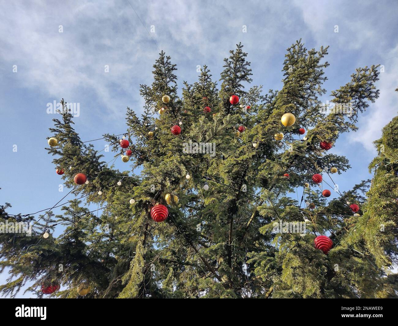 Tree with globes hi-res stock photography and images - Alamy