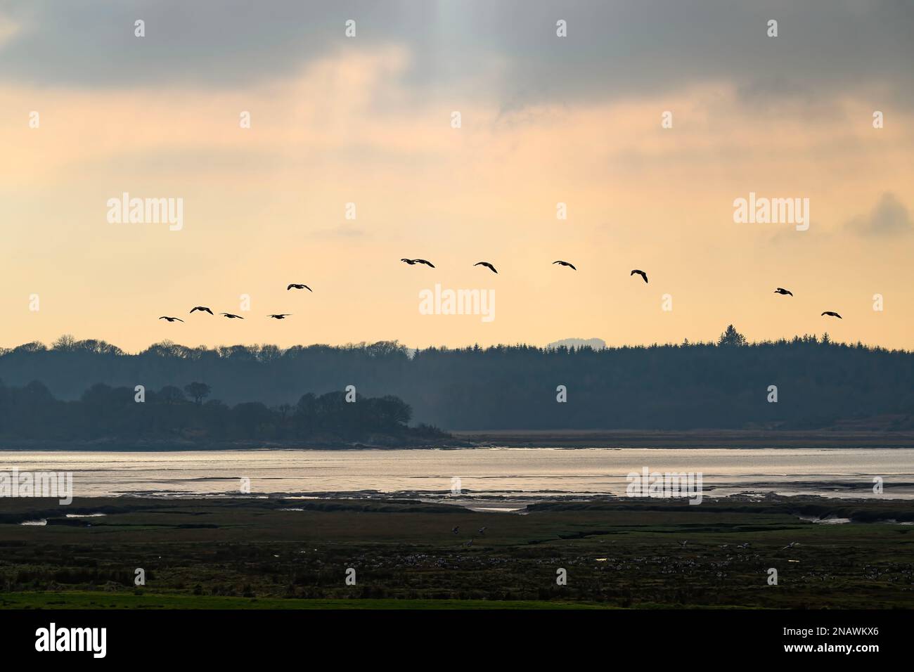Orchardton bay hi-res stock photography and images - Alamy