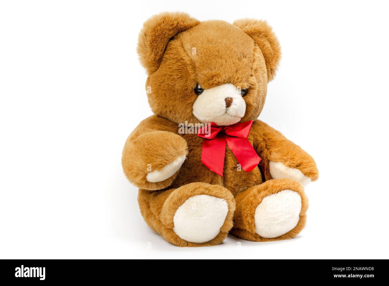 Cute Brown Teddy bear with a red ribbon on a white background. Plush ...