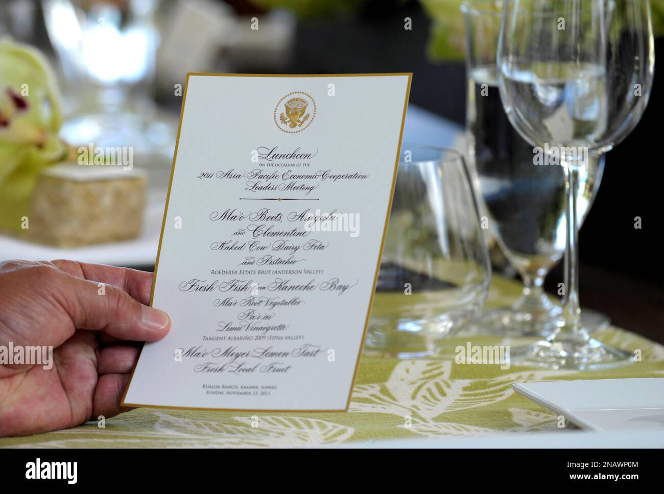 Tim Mathieson, domestic partner of Australian Prime Minister Julia ...