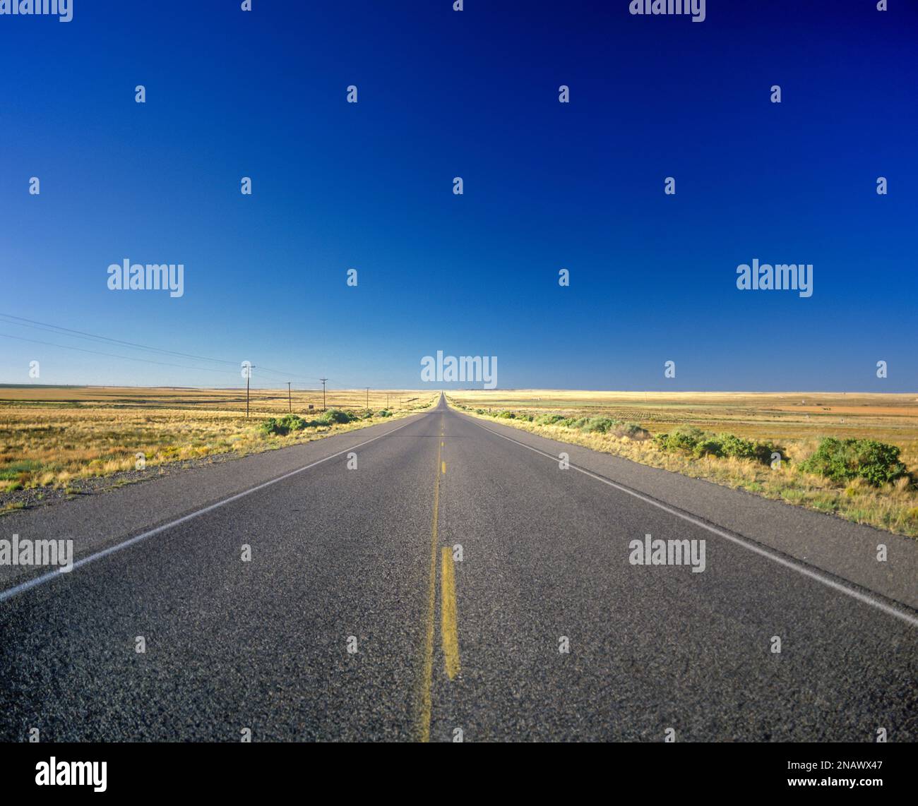 Empty desert road telegraph poles hi-res stock photography and images ...