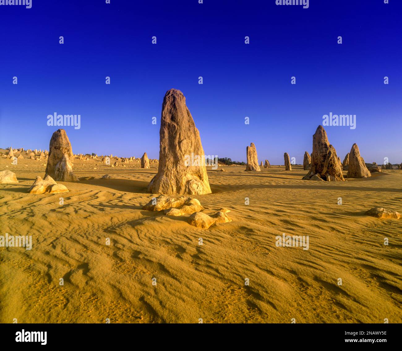RIPPLES IN SAND DESERT PINNACLES NAMBUNG NATIONAL PARK WESTERN ...